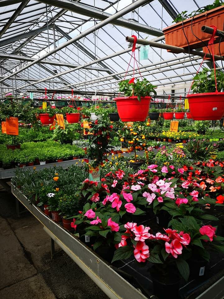 Çiçek teslimatı Greizer Vogtlandblumen GmbH, Thüringen, foto