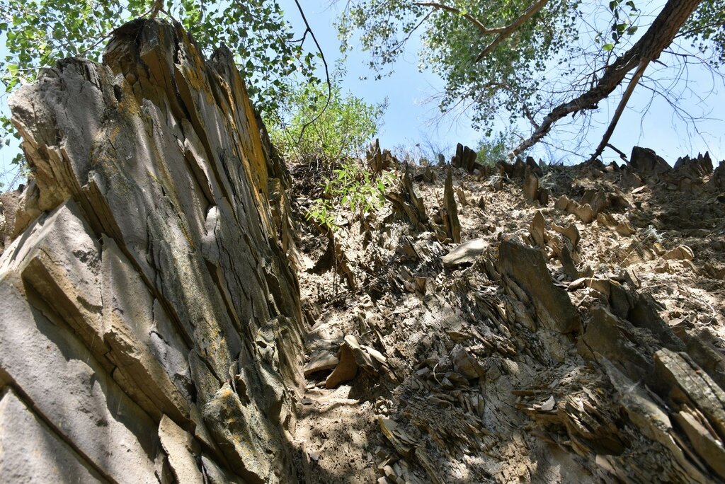 Doğa Разрез Никольский, Orenburgskaya oblastı, foto