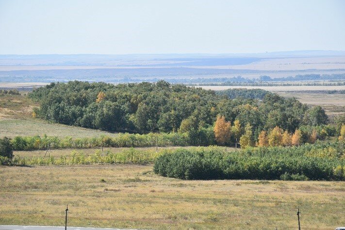 Doğa Ландшафтный памятник природы на западной стороне Урочище Степной маяк, Orenburgskaya oblastı, foto