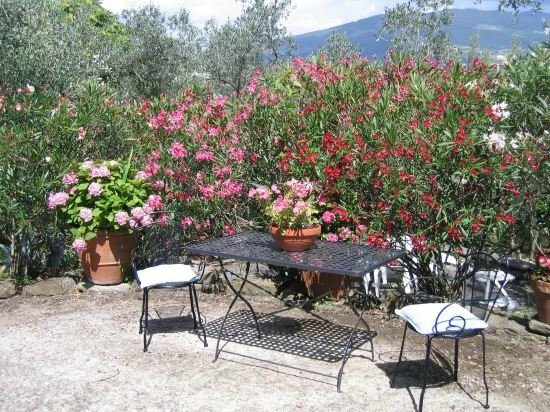 Otel Fiesole In Giardino B&b, , foto