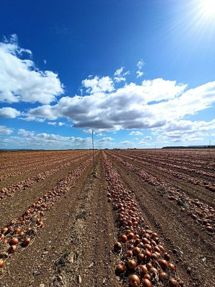 Market Sat Agorreta 721 Na, Navarra, foto