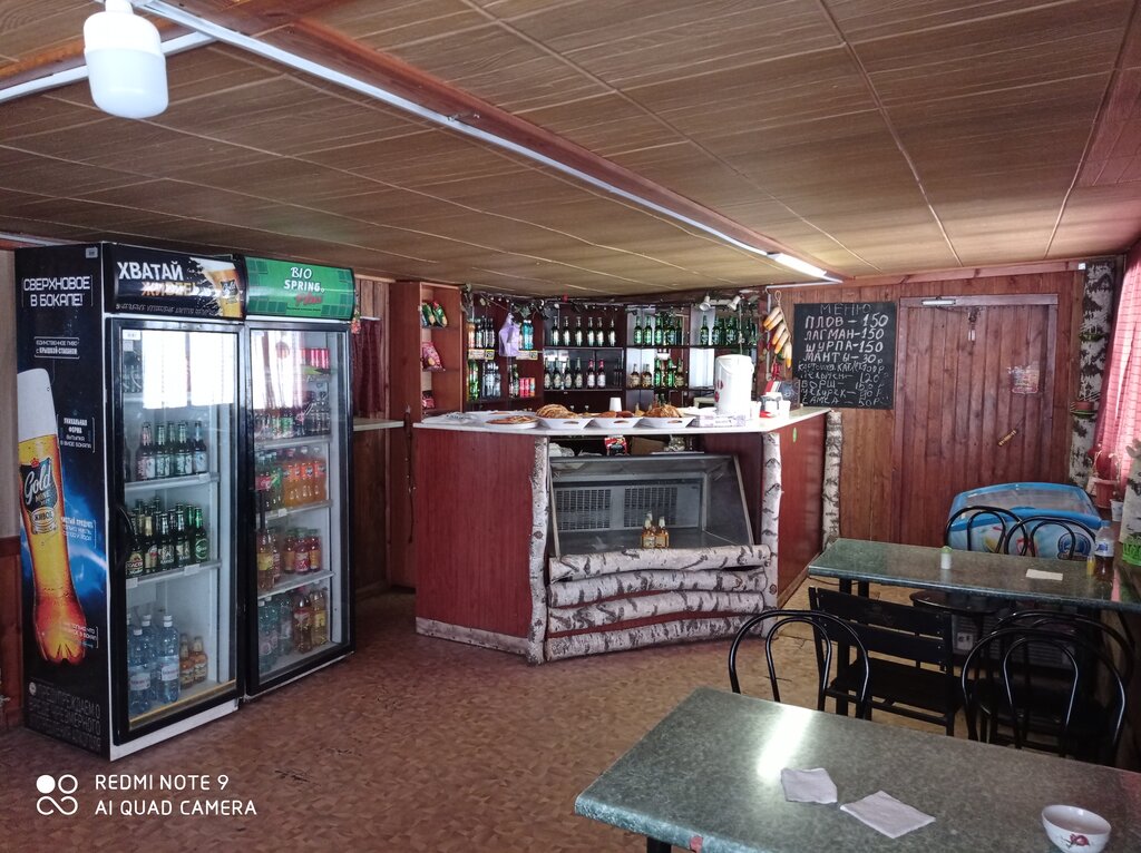 Kafe Берёзовая роща, Novosibirskaya oblastı, foto