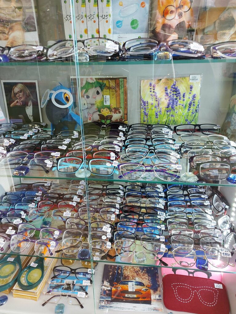 Optik Очки здесь, Opochka, foto