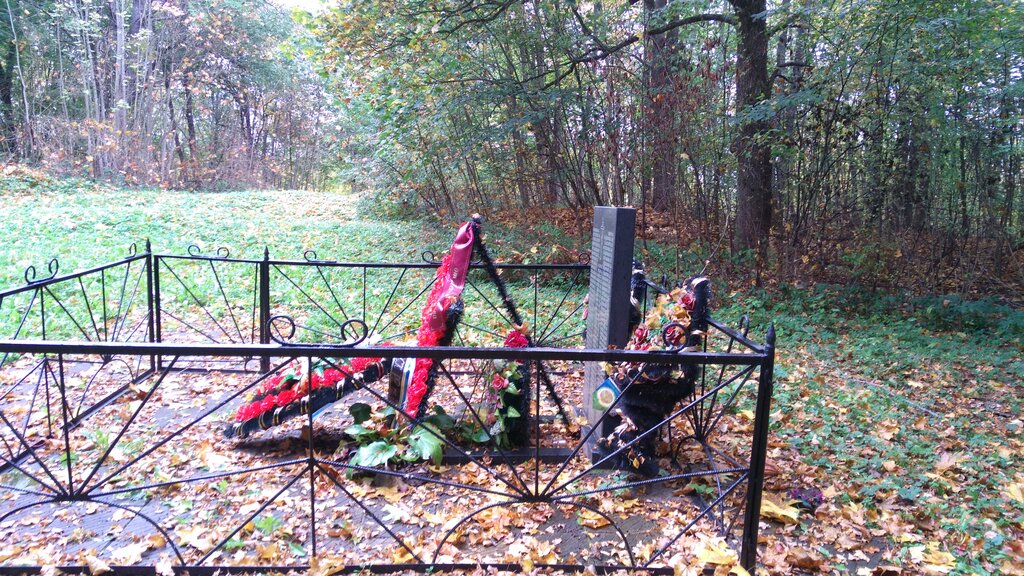 Anıt, heykel Братская могила воинов Красной армии, Pskovskaya oblastı, foto