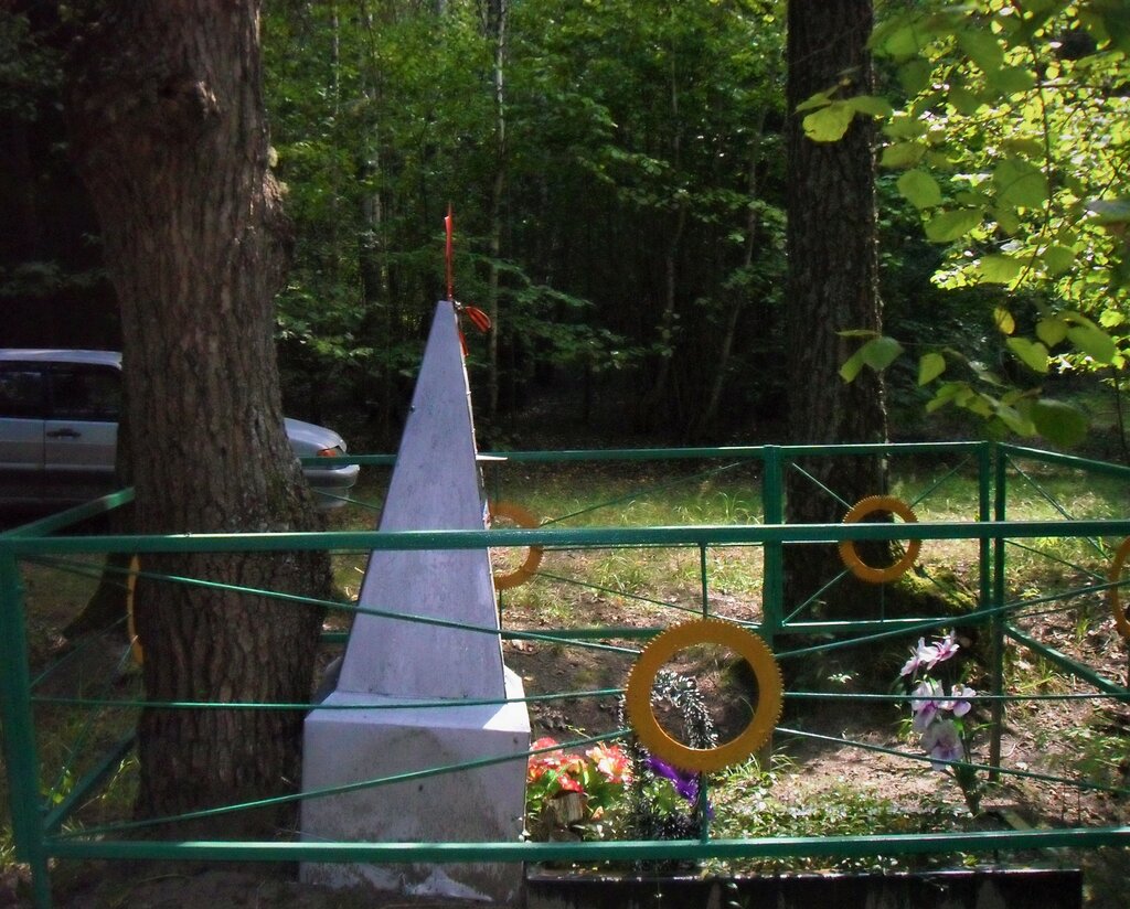Ünlü kişilerin mezarları Могила воина Советской Армии лейтенанта Коровенко Т.В., Brianskaya oblastı, foto