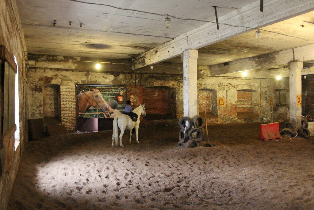 At ve binicilik kulüpleri Roo Ksk Ricgiai Kone, Saint‑Petersburg ve Leningradskaya oblastı, foto