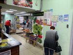 Зелень-мелень.рф (Yelninskaya Street No:23), manavlar  Moskova'dan