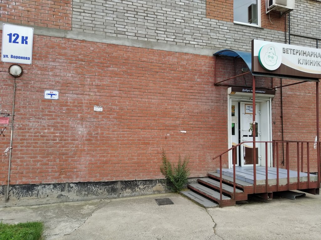 Veteriner klinikleri Айболит, Krasnoyarsk, foto