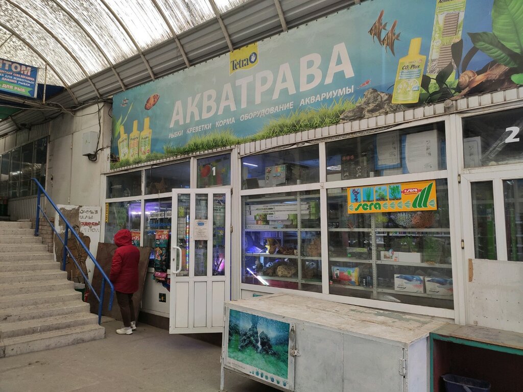 Petshop Tetra, Rostov‑na‑Donu, foto