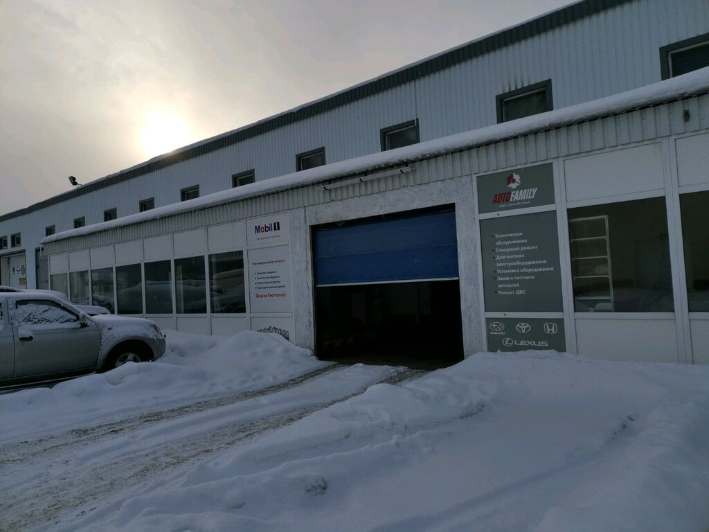 Araç bakım malzemeleri Mobil 1, Surgut, foto