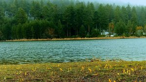 Soğuksu Milli Parkı (Ankara, Kızılcahamam, Soğuksu Milli Parkı), parklar ve ormanlar  Kızılcahamam'dan