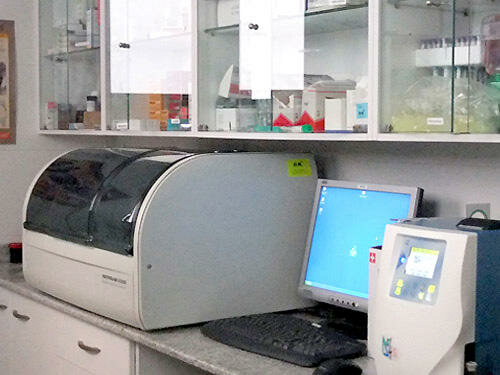 Veteriner klinikleri Hospital Veterinari De L'urgell, Katalonya, foto