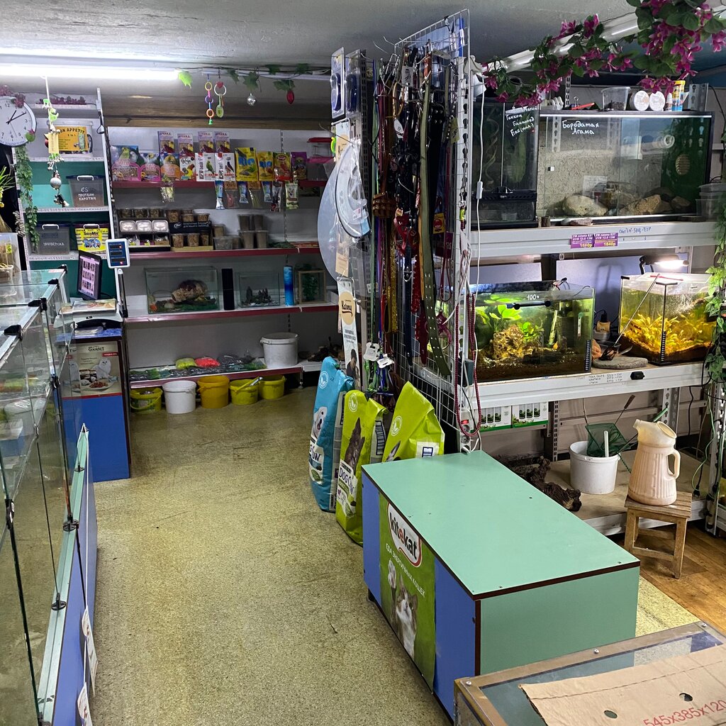 Petshop Aqua-Design, Diatkovo, foto