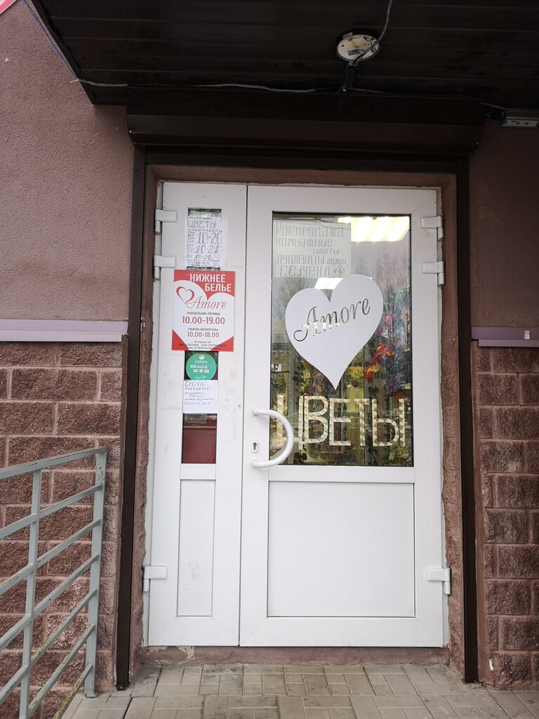 i̇ç giyim ve mayo mağazası Amore, Tixvin, foto