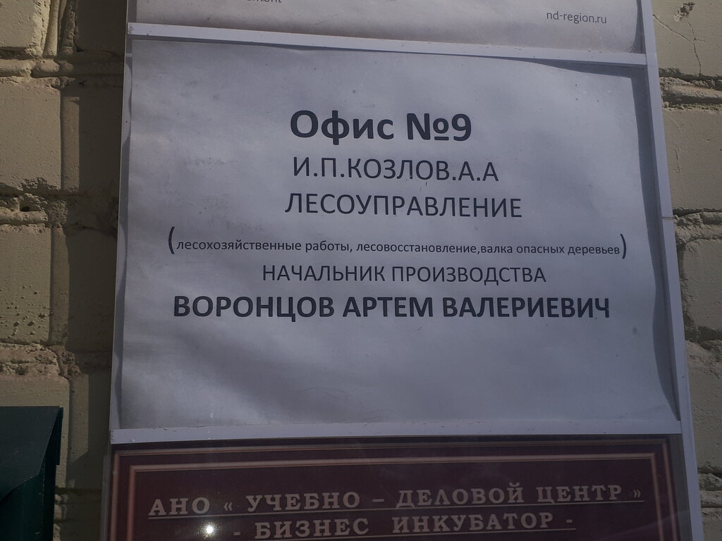 Orman işleri, orman koruma Лесоуправление, Tixvin, foto