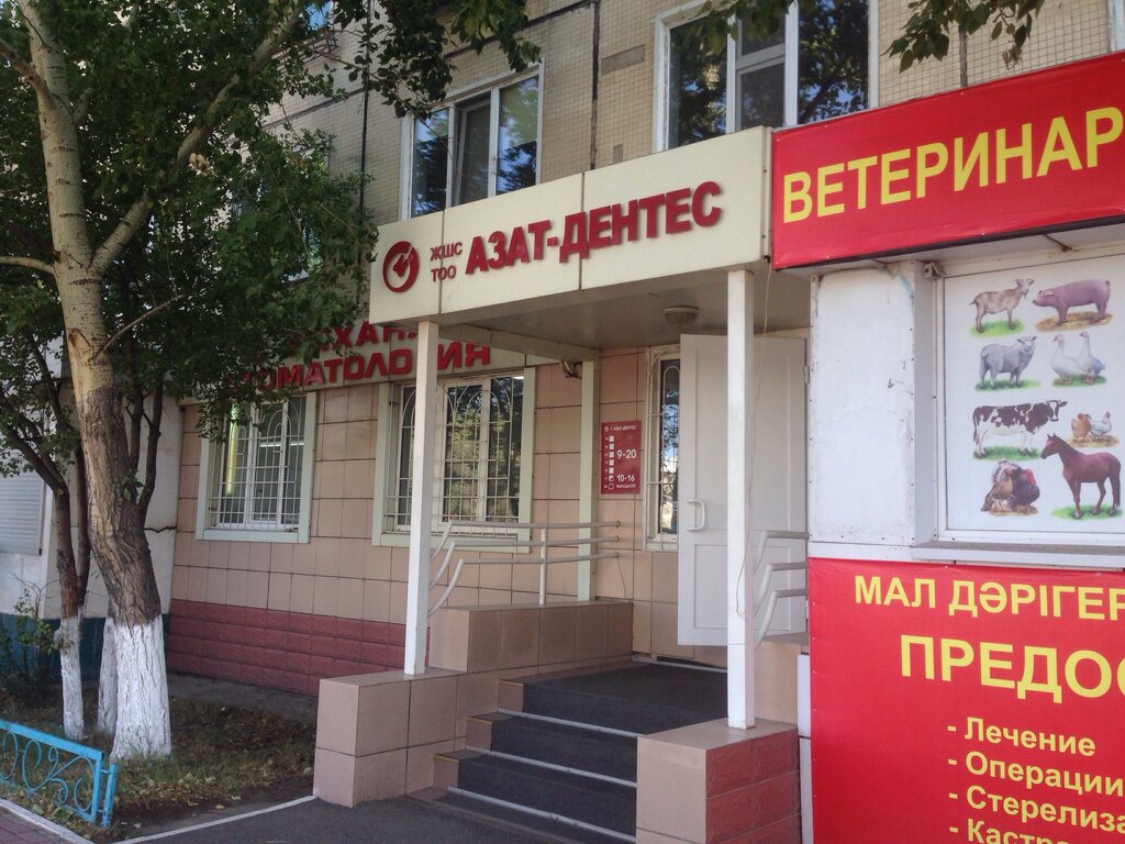 Veteriner klinikleri Ajbolit, Astana, foto