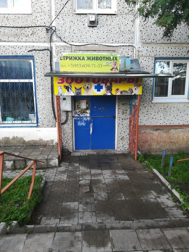 Evcil hayvan kuaförleri Стрижка животных, Kireyevsk, foto