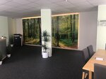 Jens Collier Bestattungen (Saxony-Anhalt, Anhalt-Bitterfeld, Dessau, Marienstraße), cenaze hizmetleri  Dessau'dan