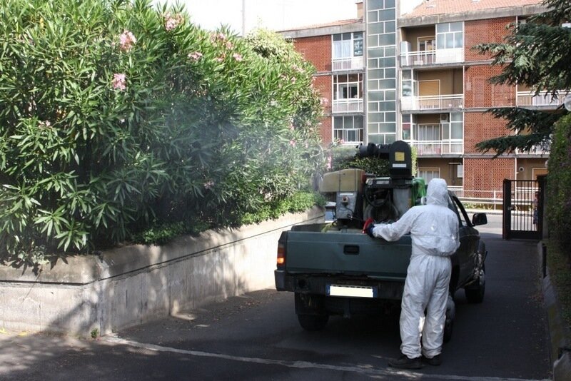 Haşere ilaçlama firmaları Mediterranea Ekoservice, Katanya, foto