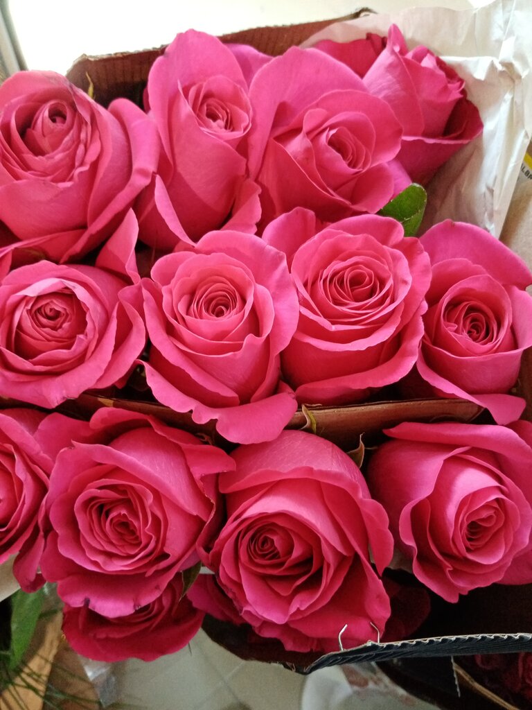 Çiçekçiler Avika Flowers, Dolgoprudny, foto