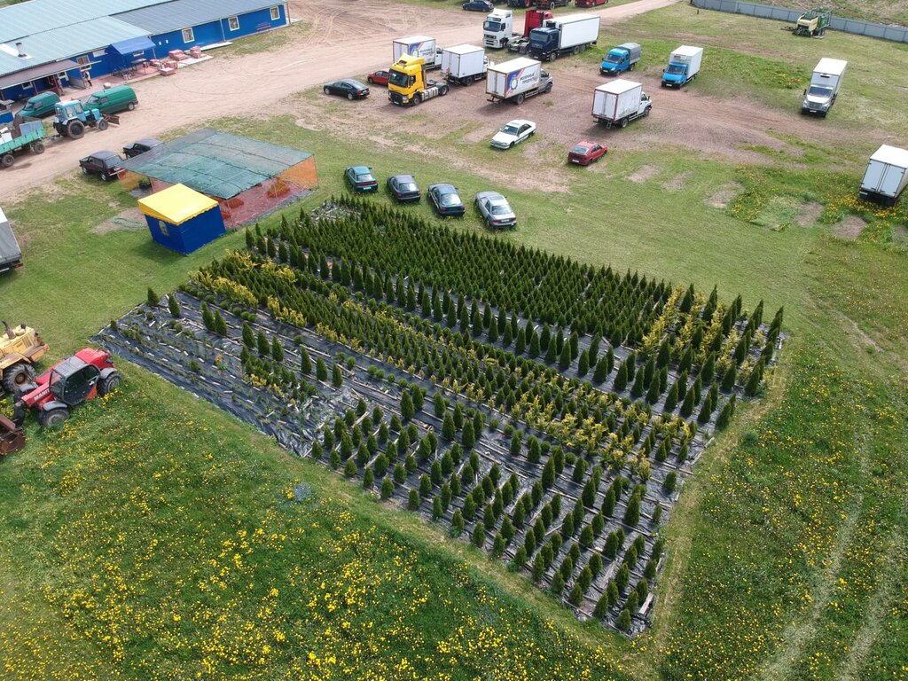 i̇kinci el eşya alımı Komissionnay torgovla, Minskaya oblastı, foto