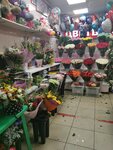 Цветы (ulitsa Marshala Batitskogo No:12, Zarya Microdistrict), çiçekçiler  Balaşiha'dan