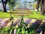Giardinaggio Luigi Catena (Emilia-Romagna, Rimini, Misano Adriatico, Misano Adriatico, Via Andrea Doria), peyzaj tasarımı  Emilia‑Romagna'dan