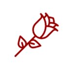 Цветы (улица Нахимова No:2), çiçekçiler  Feodosya'dan (Kefe'den)
