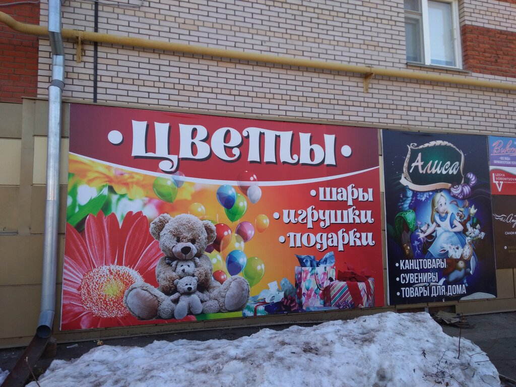 Kırtasiyeler Алиса, Mozhga, foto