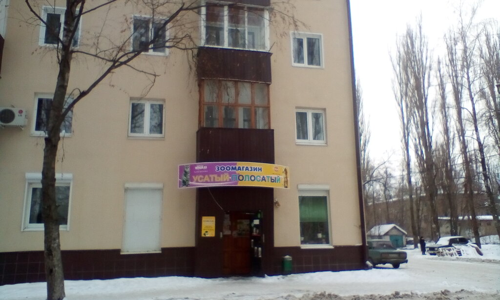 Petshop Усатый-Полосатый, Voronej, foto