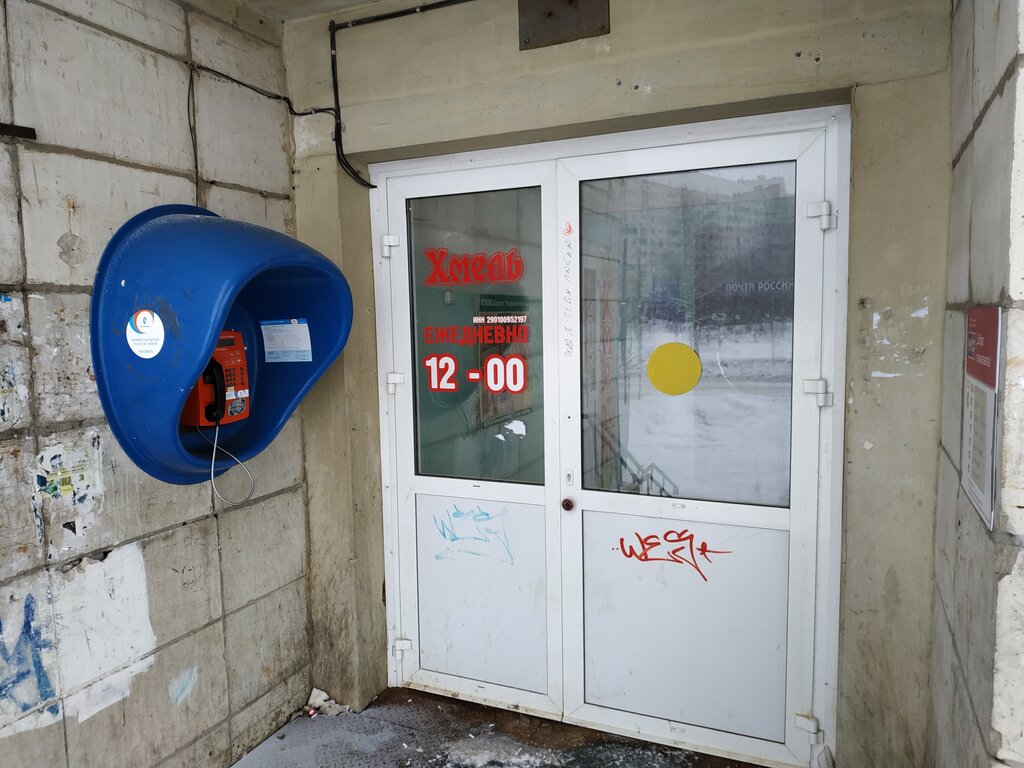 Bira dükkanı Хмель, Severodvinsk, foto