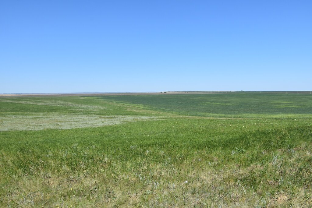 Doğa Шабаловская степь, Orenburgskaya oblastı, foto