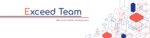 Exceed Team (Yunnatov Street No:9Г), bilişim firmaları  Maykop'tan