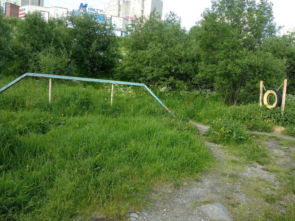 Köpek gezdirme alanları Dog park, Murmansk, foto