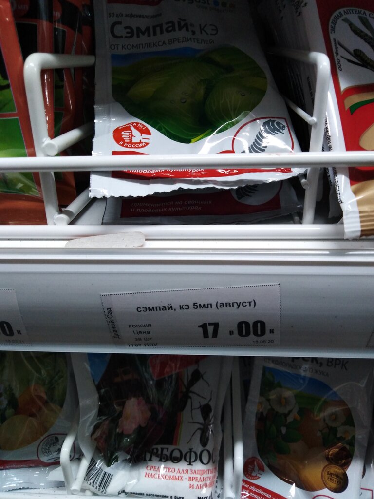 Çiçekçiler Дивный сад, Hakasya, foto