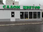Flower (Lenina Avenue No:17Е), çiçekçiler  Dmitrovgrad'dan