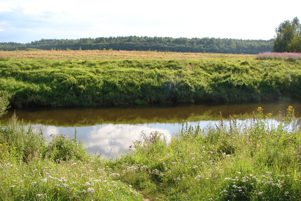 Pınar, çay Spring, stream, Moskova ve Moskovskaya oblastı, foto