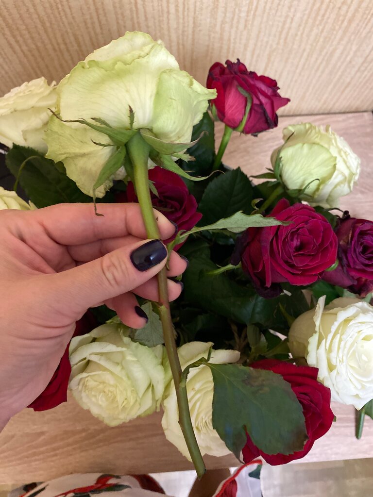 Çiçekçiler Simona Katunio, Voronej, foto