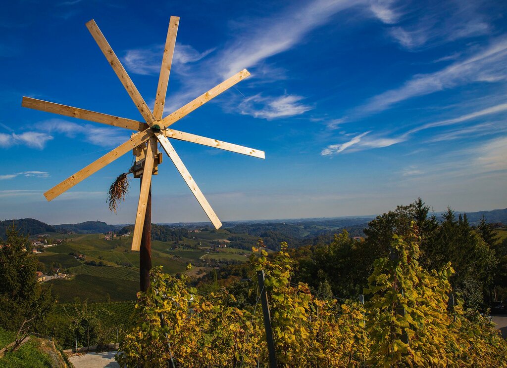 E-ticaret Samenkönig Pschait Franz GmbH, Steiermark, foto