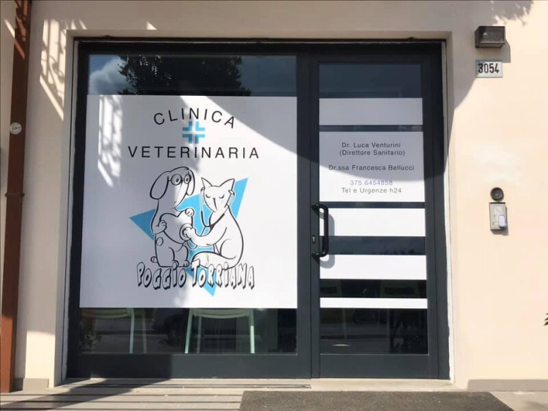 Veteriner klinikleri Clinica Veterinaria Poggio Torriana, Emilia‑Romagna, foto