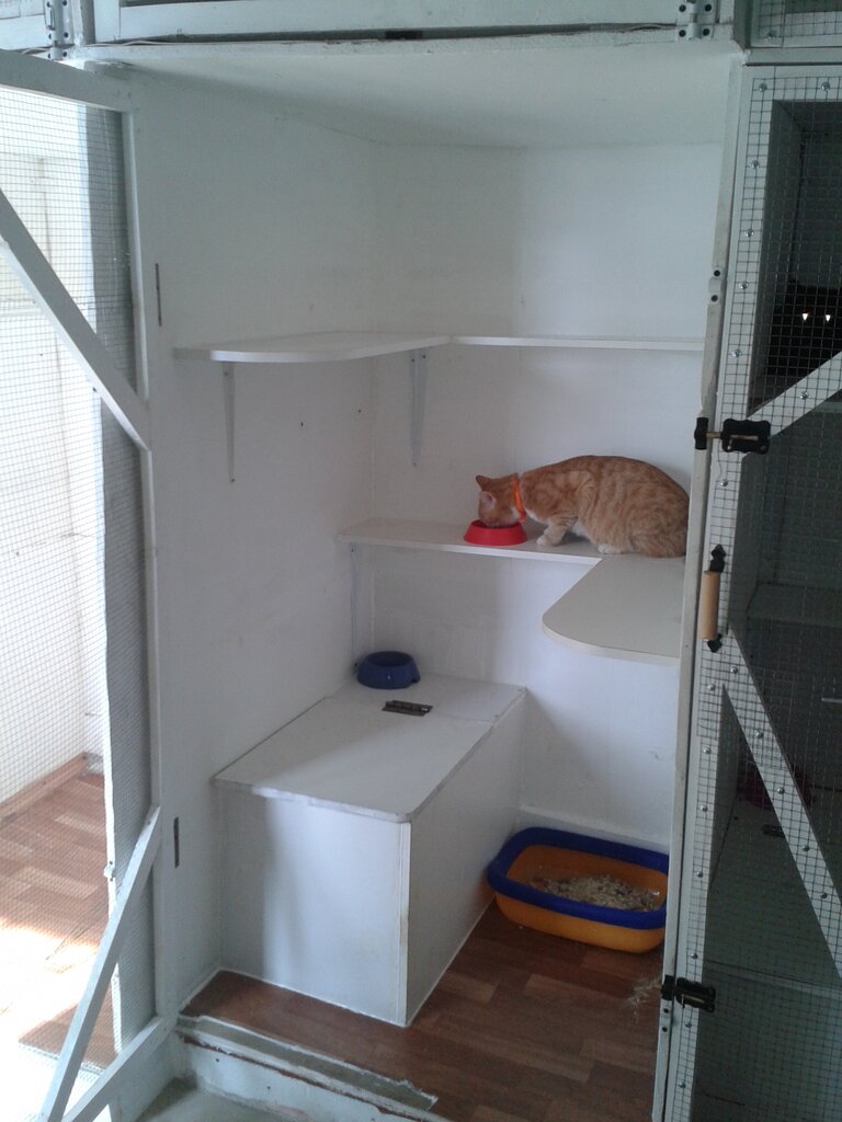 Pet otel Dom Zverei, Balaşiha, foto