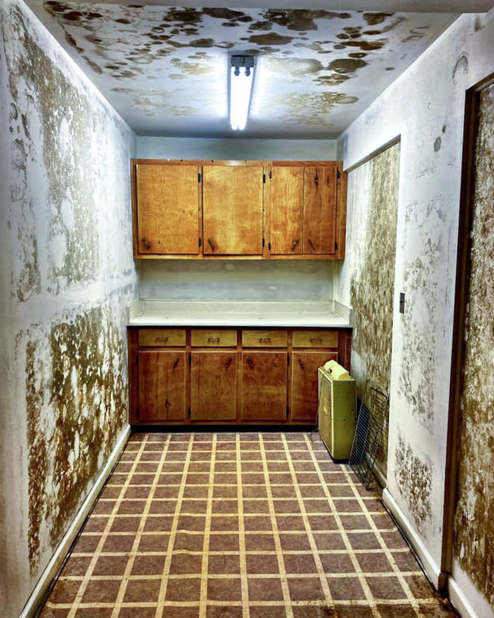 Halı yıkamacılar Servpro of Haywood & Transylvania Counties, Kuzey Carolina Eyaleti, foto