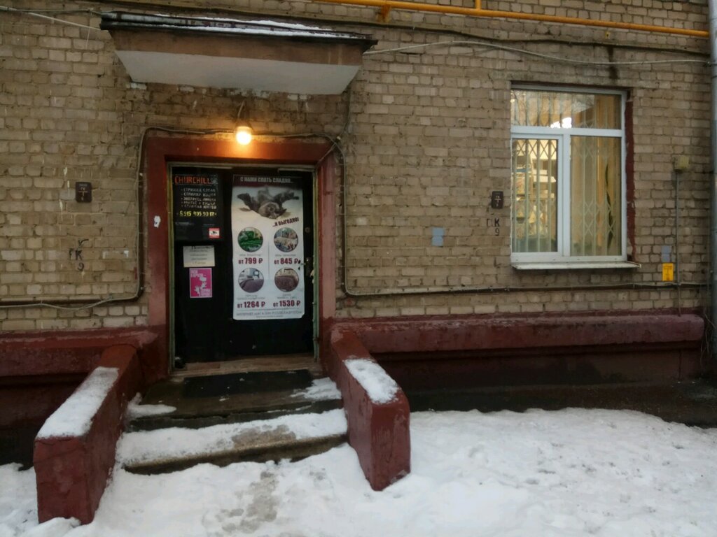 Evcil hayvan kuaförleri Groom salon Churchill, Moskova, foto