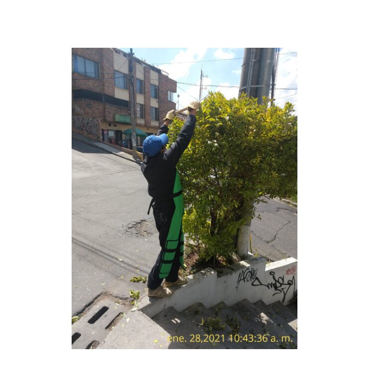 Temizlik şirketleri Ayg Servicios S. A. S, Bogota, foto