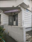 Strizhka sobak (ulitsa Zhilgorodok No:9А, Olgino Microdistrict), evcil hayvan kuaförleri  Balaşiha'dan
