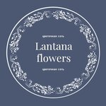 Lantana (Rossoshansky Drive No:3), çiçekçiler  Moskova'dan