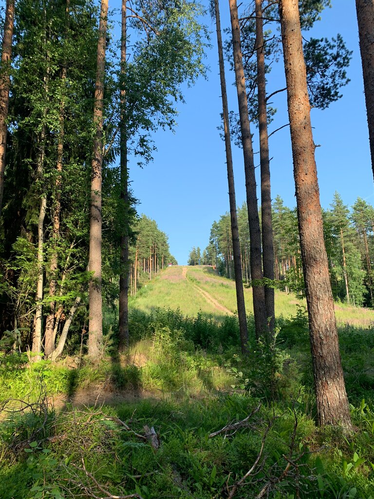 Dağ zirvesi Пухтолова гора, Zelenogorsk, foto