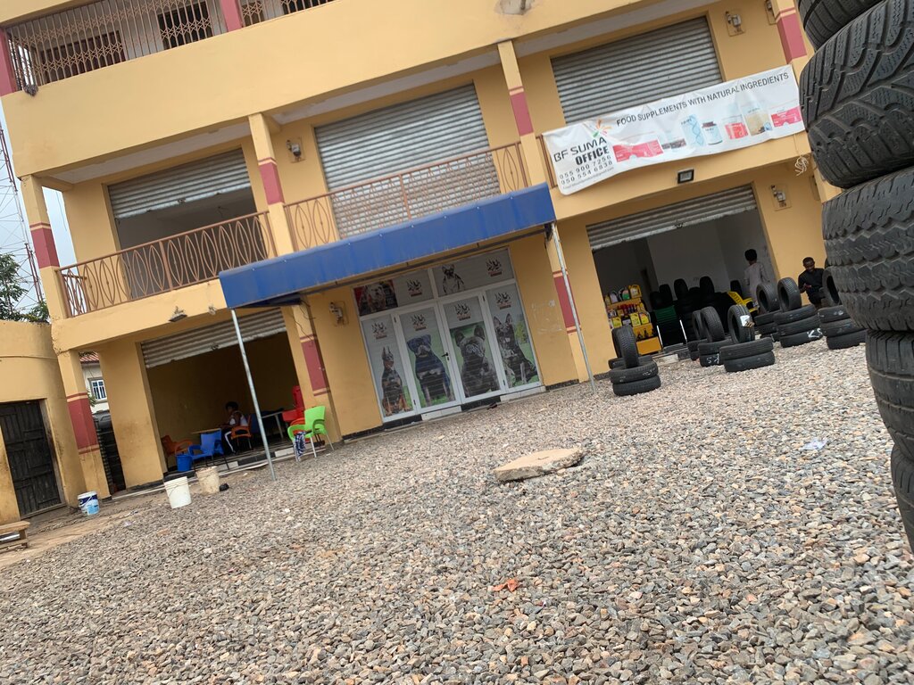 Petshop Kings Pet Store, Dünya, foto