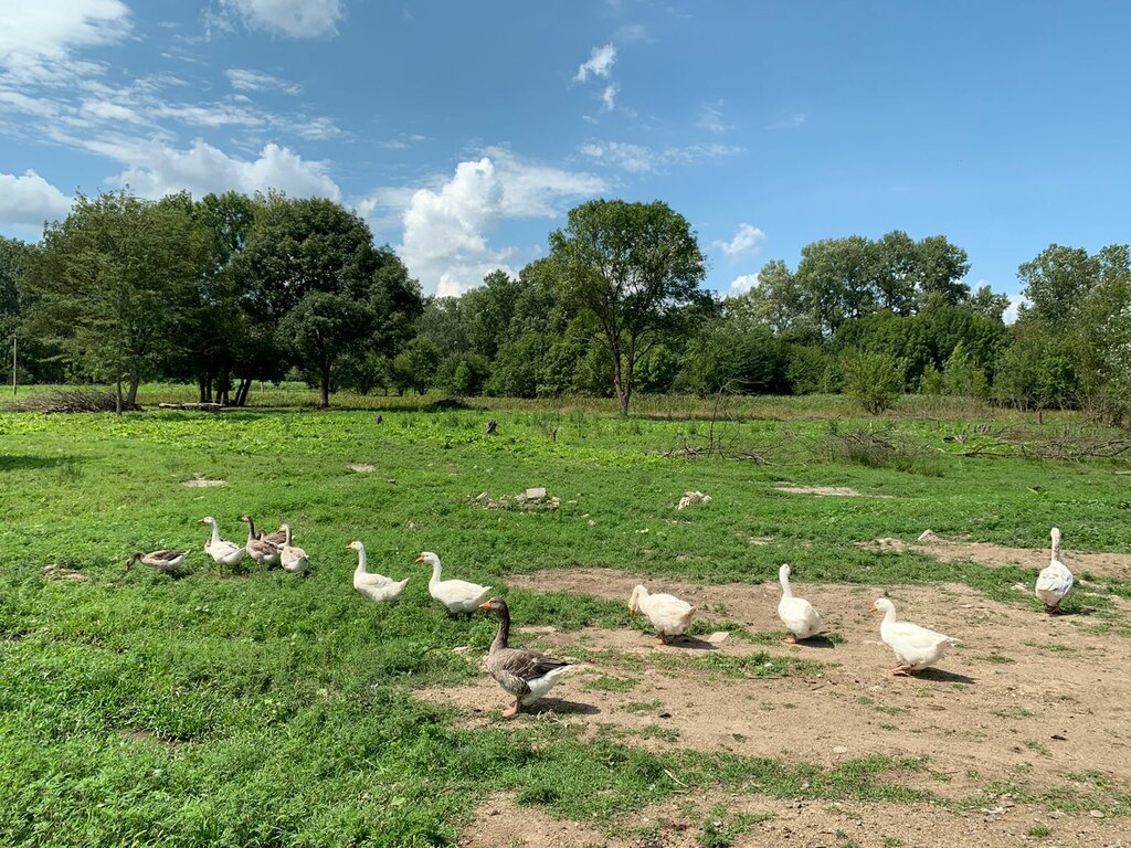 Satış ofisi Ecotory, Krasnodarski krayı, foto