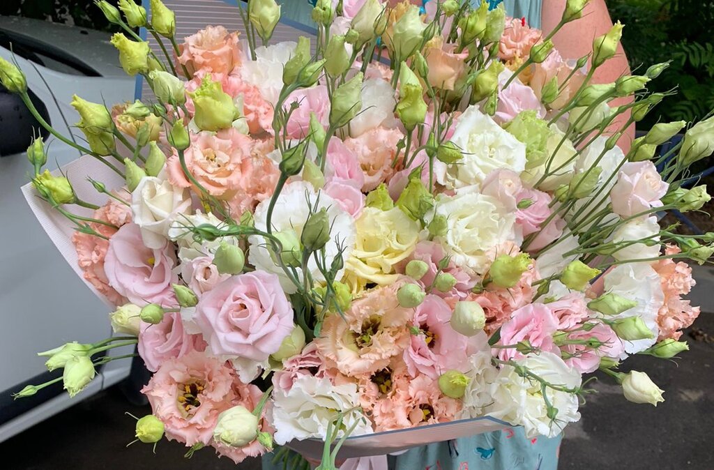 Çiçekçiler Planeta tsvetov, Volgograd, foto